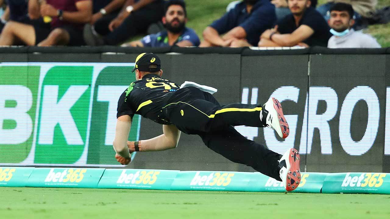 Sams pulls off stunning diving catch inches from boundary
