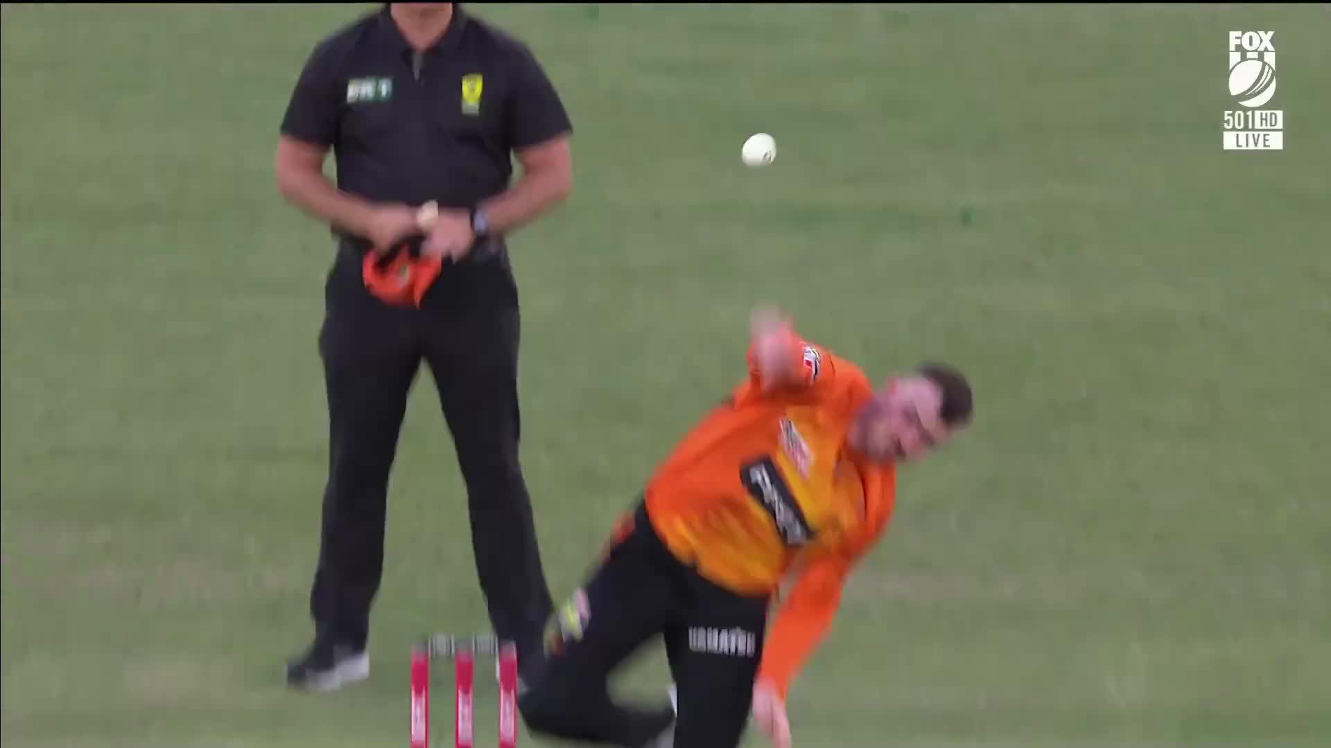 What a leap! Hobson soars for another Perth Stadium stunner