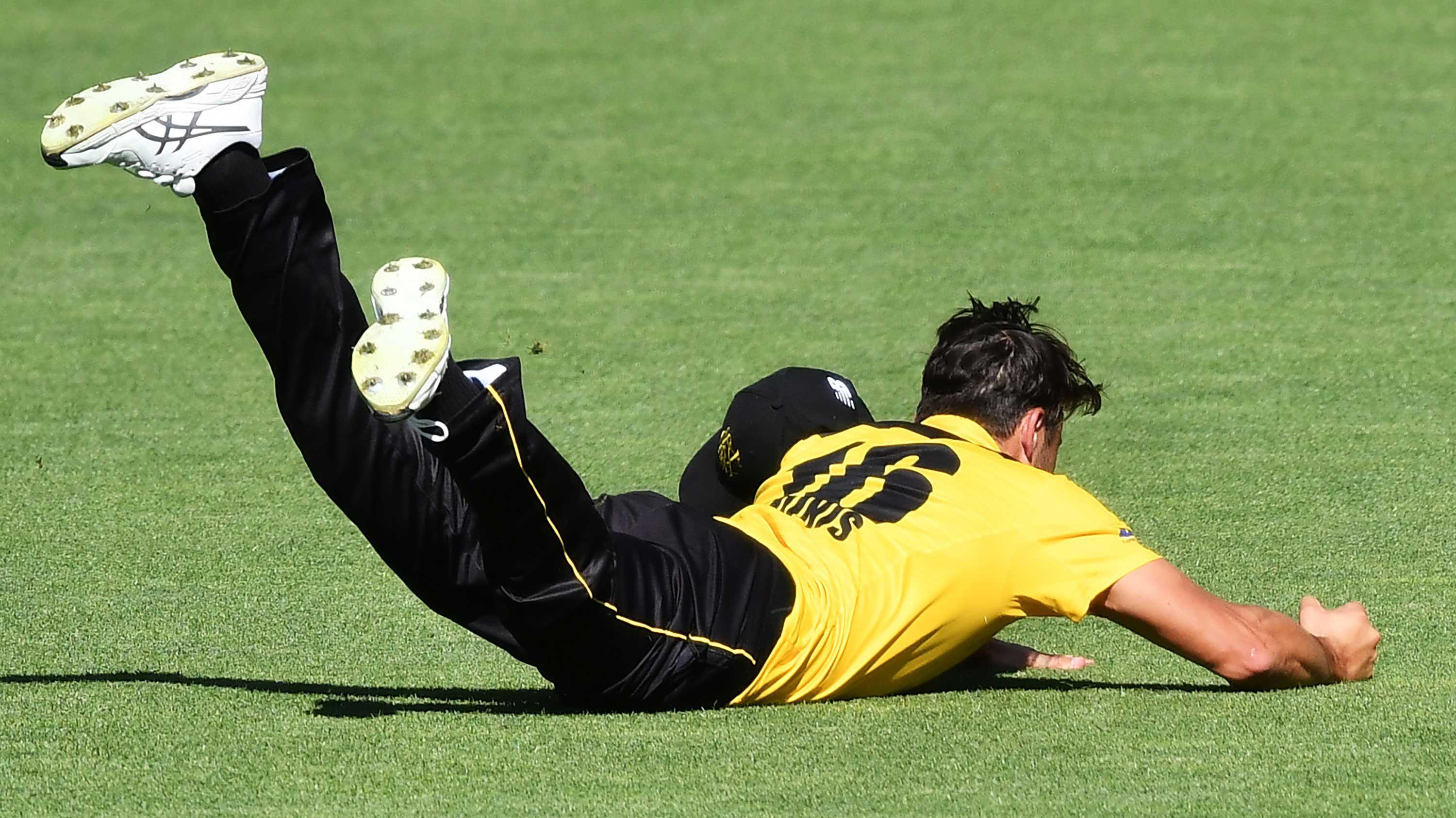 Stoinis ends SA innings with superb over the shoulder grab