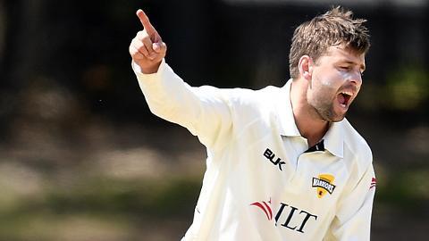 O'Connor snares five-for on Shield debut