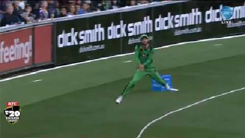 Maxwell's amazing fielding at the 'G