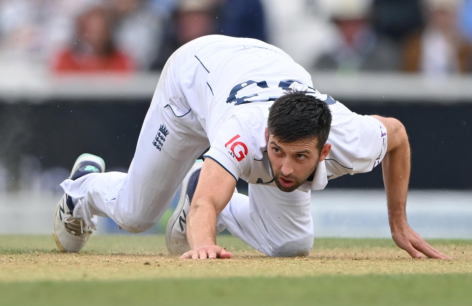 Mystery over Wood tactics as Ashes go down to the wire | cricket.com.au