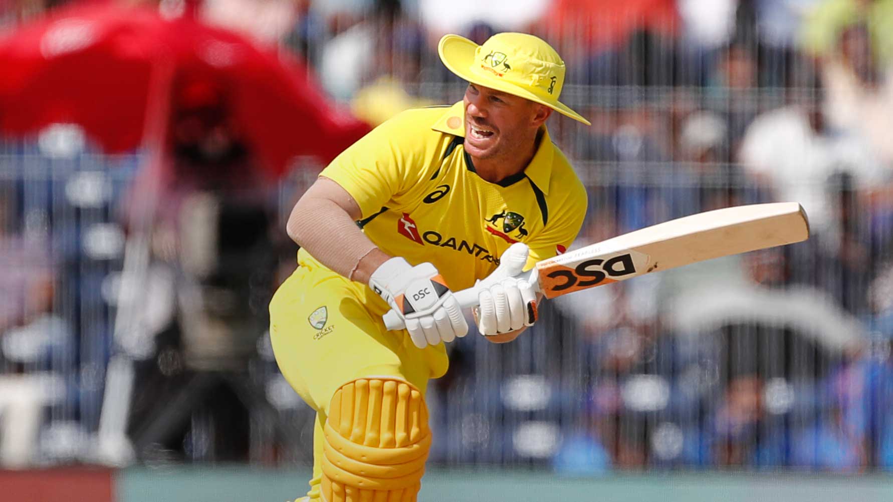 Warner deserves first shot at ODI World Cup: Gilchrist | cricket.com.au