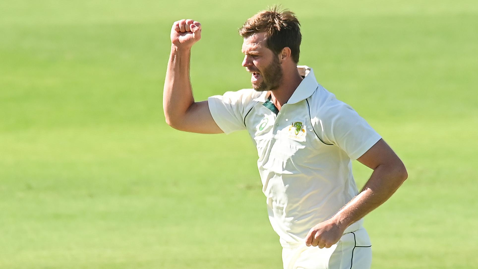 Steketee toils hard for four second-innings scalps