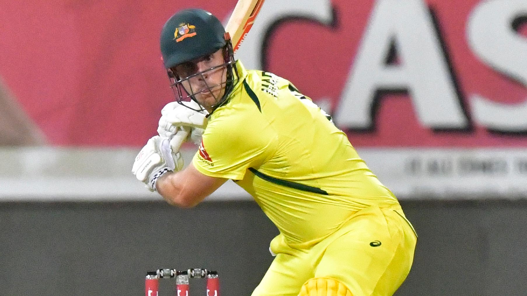 Abbott lauds ‘level’ Marsh’s start as captain | cricket.com.au