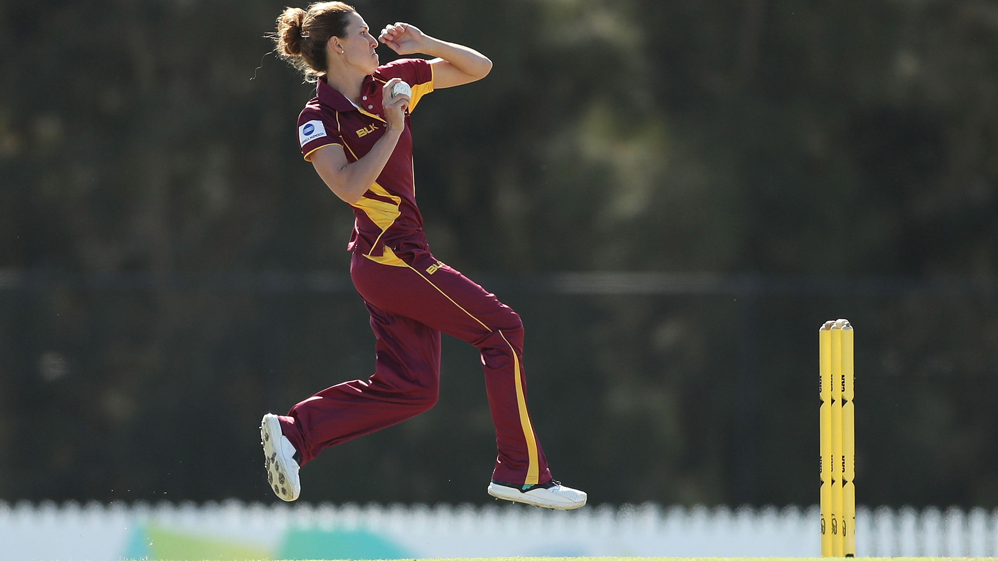 Winfield-Hill returns to Heat to continue coaching path | cricket.com.au
