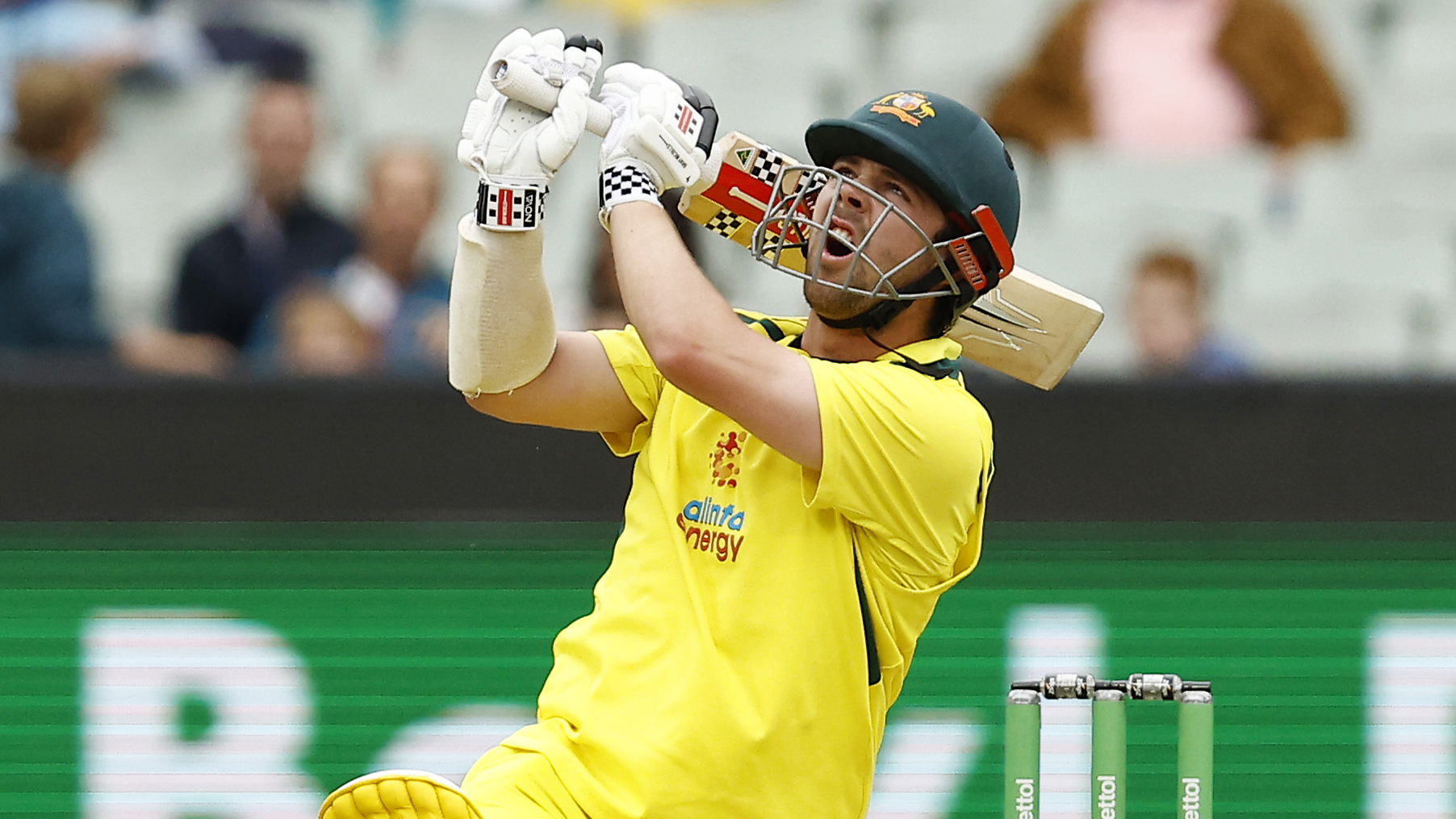 Aussies hope Dutch will dread Head's red left hand | cricket.com.au