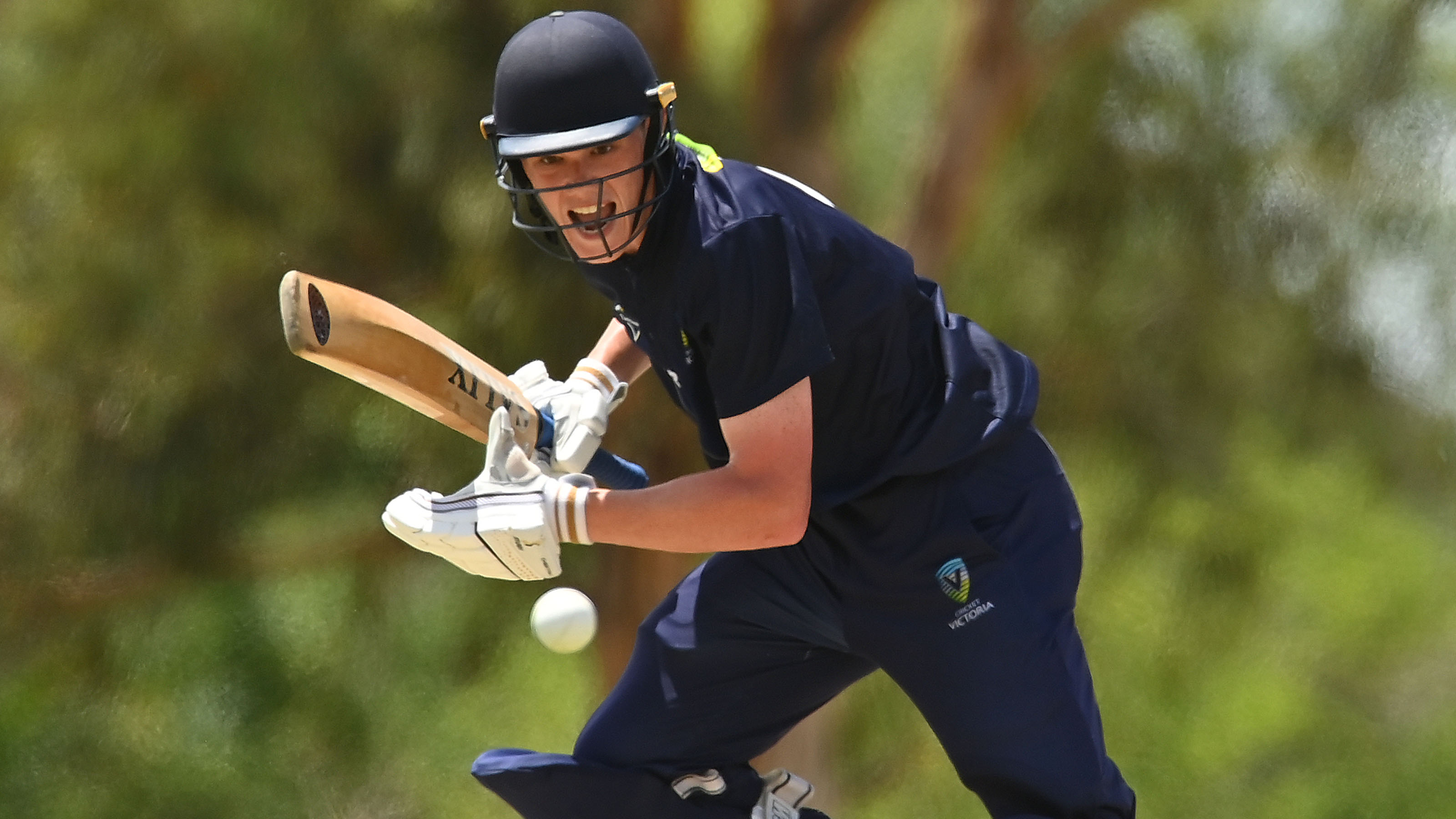 Why Lukas Woodhouse is the new 'Mr Cricket' | cricket.com.au