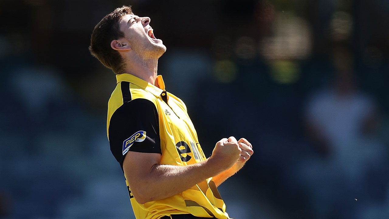 Scorchers shore up BBL|13 credentials with rising pace star | cricket ...