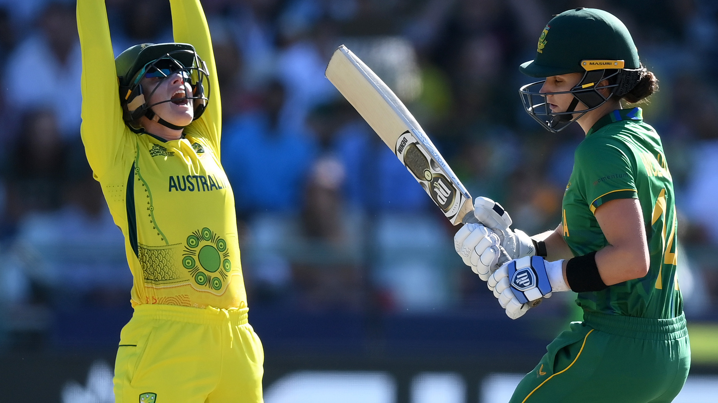 'Great tussles': Aussies to rekindle rivalry with Proteas | cricket.com.au