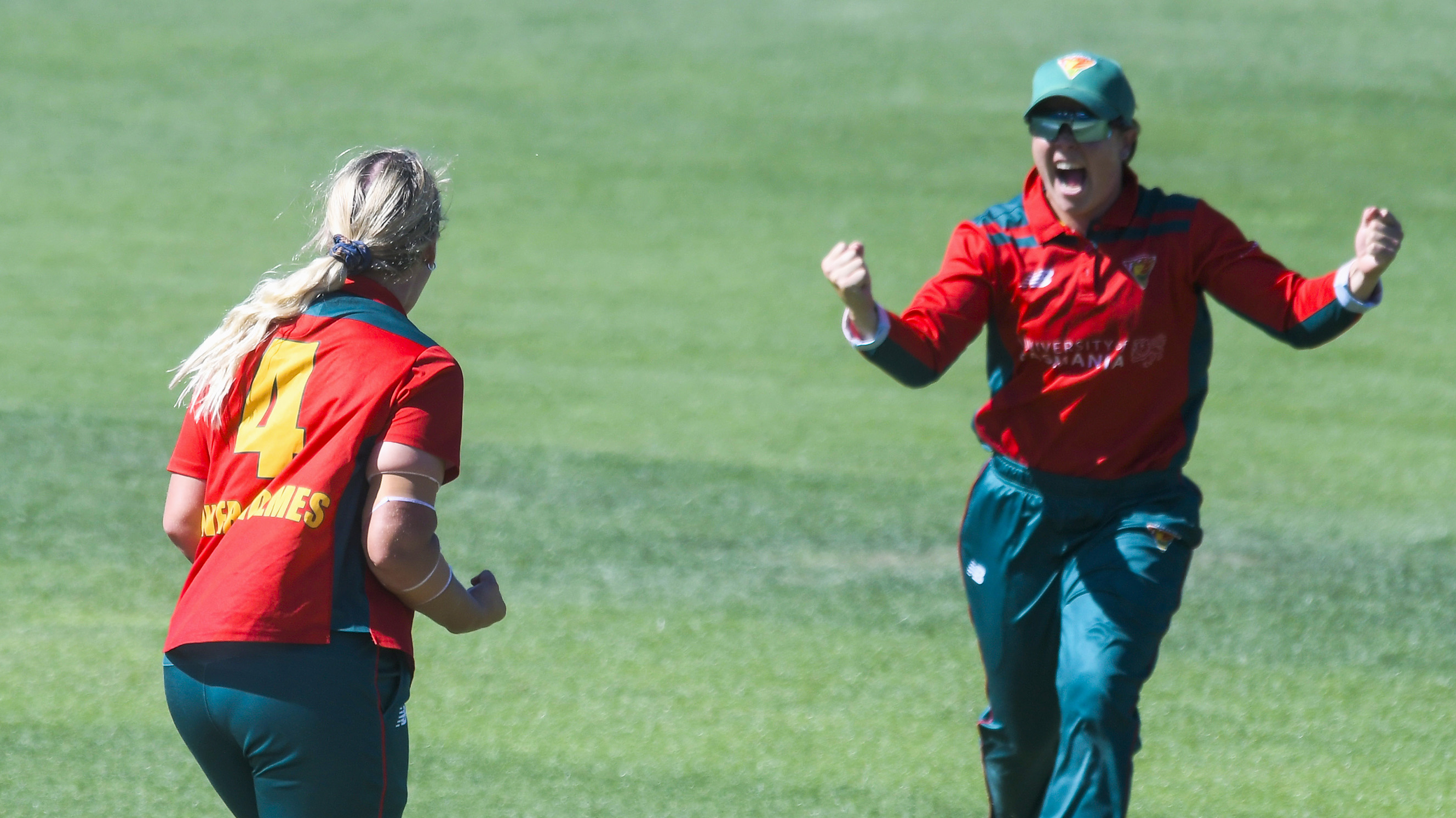 Tigers bounce back to close in on home WNCL final | cricket.com.au