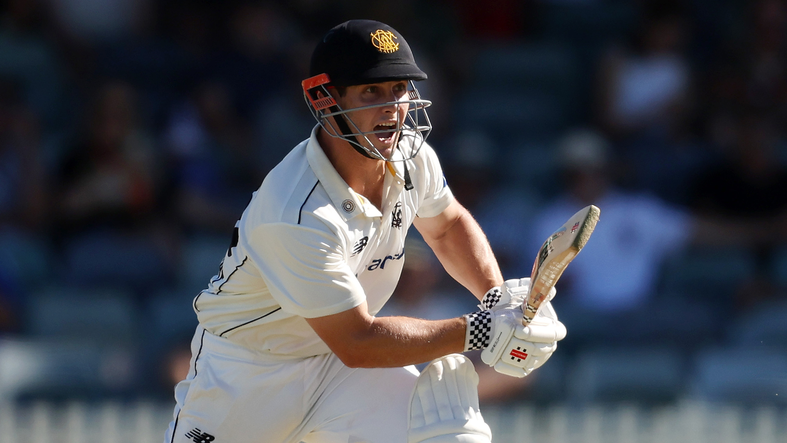 Cartwright, Rocciccioli push Shield final out of Tigers' reach ...