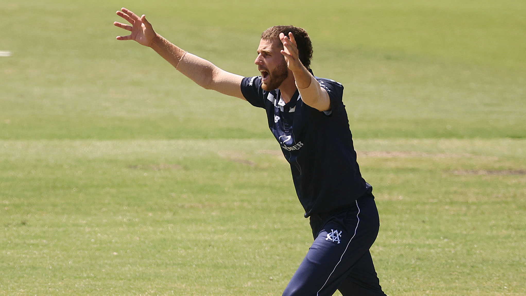 In-form O'Neill a doubt for Vics ahead of 'semi-final' | cricket.com.au