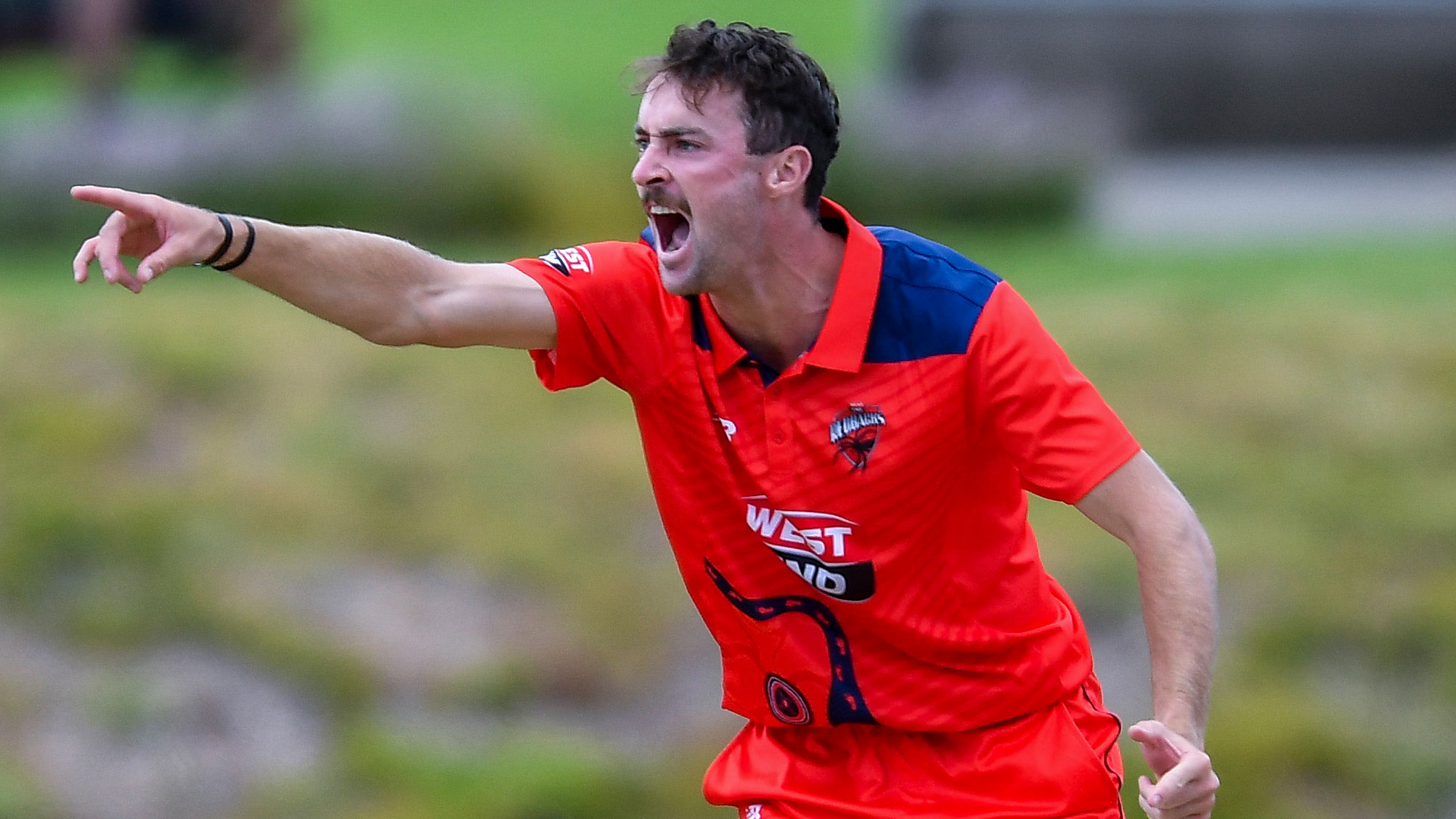 Prolific SA quick earns maiden Big Bash deal | cricket.com.au