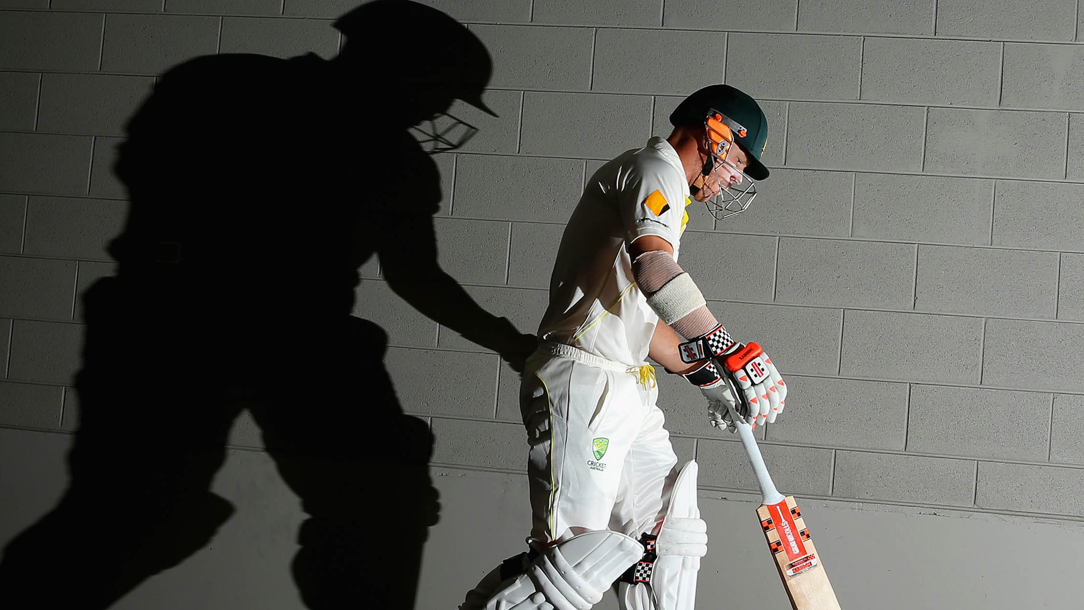 Bull on parade: Inside the rise of David Warner | cricket.com.au