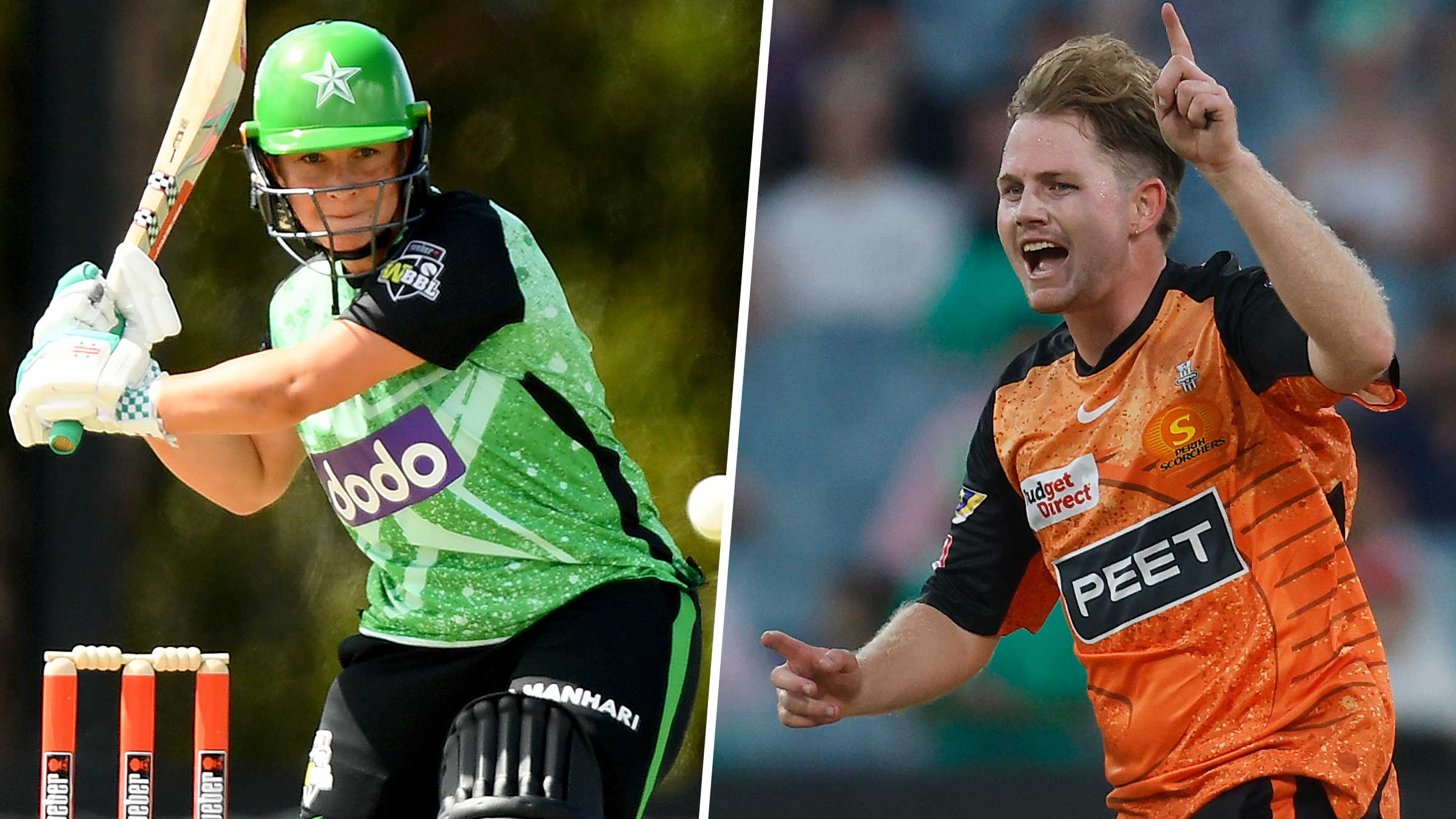 McKenzie, Reid bolster Stars stocks | cricket.com.au