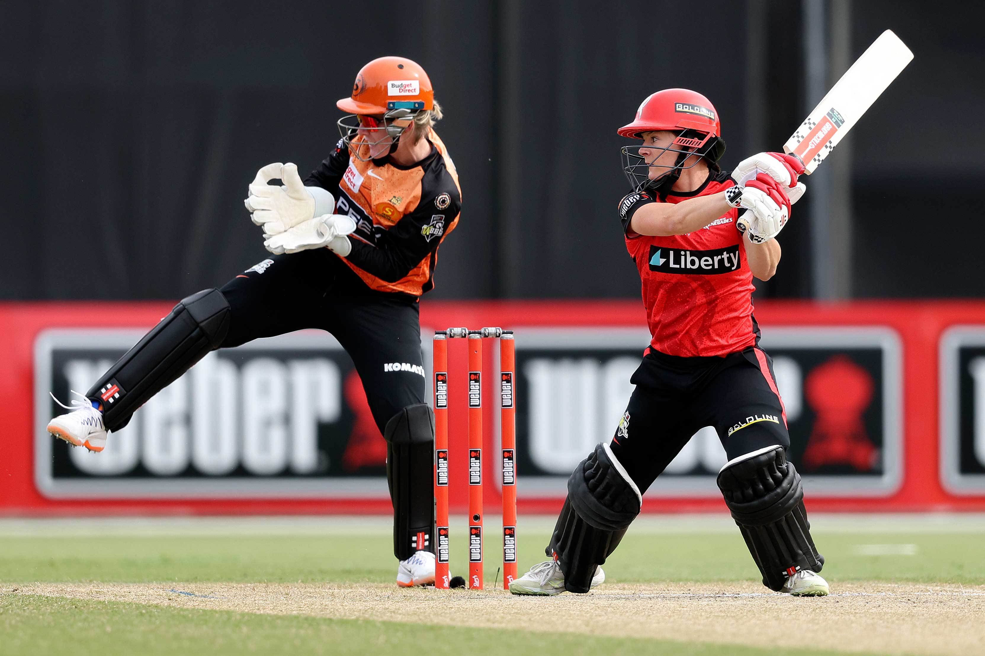 Webb's move to top pays dividends for Renegades | cricket.com.au