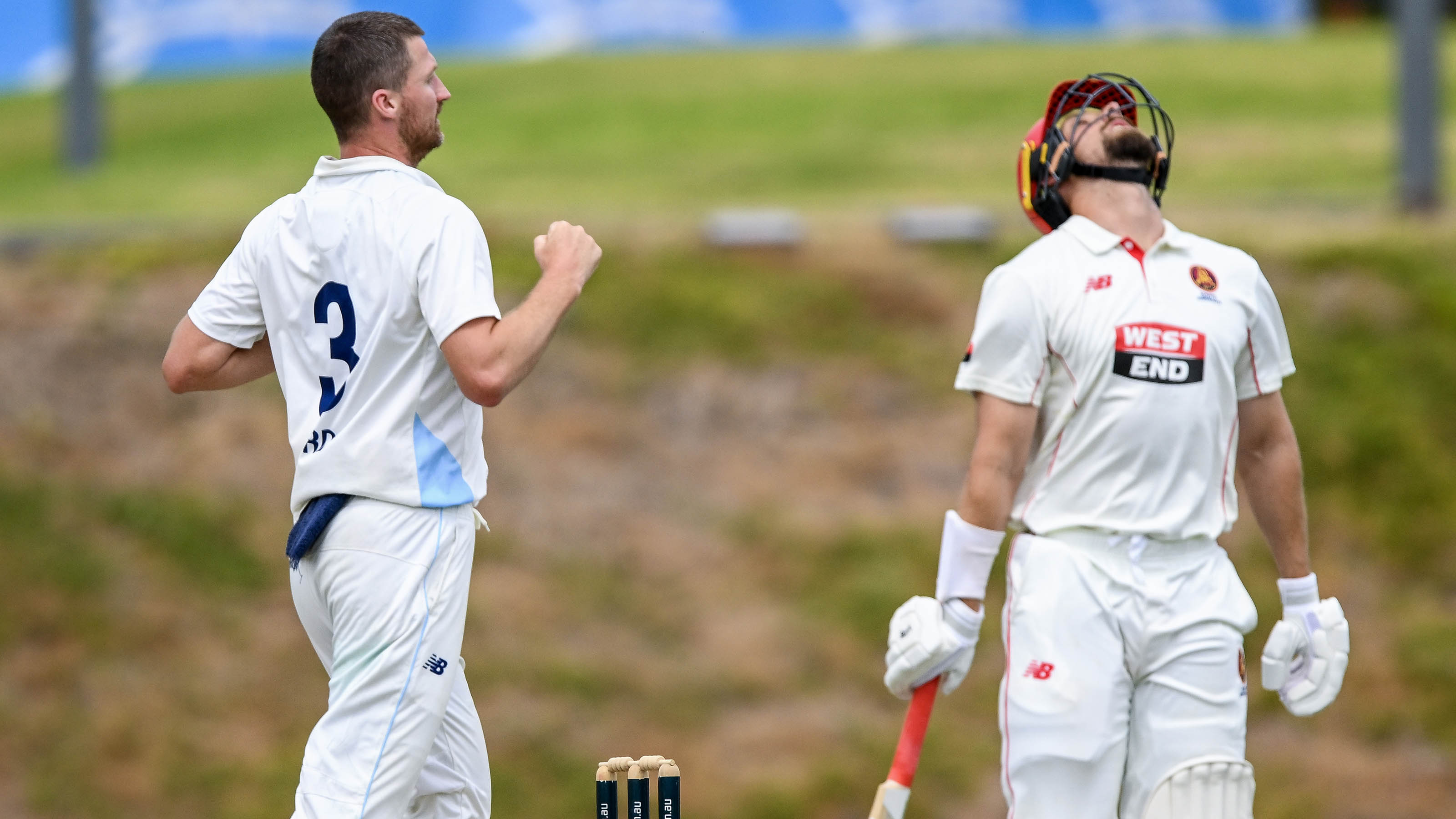 Bird takes 11 as Blues claim thumping win over SA | cricket.com.au