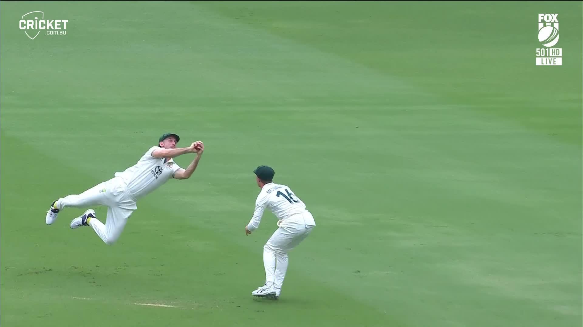 Flying Bison takes a screamer to remove Gill