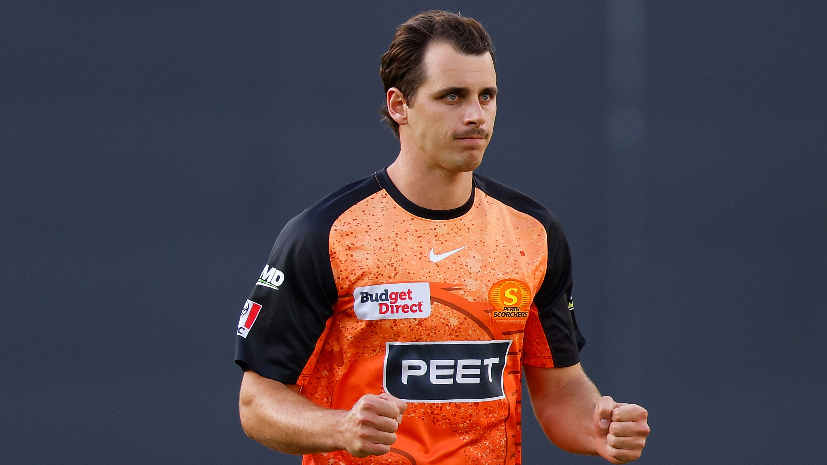Morris recommits as Scorchers build for the future | cricket.com.au