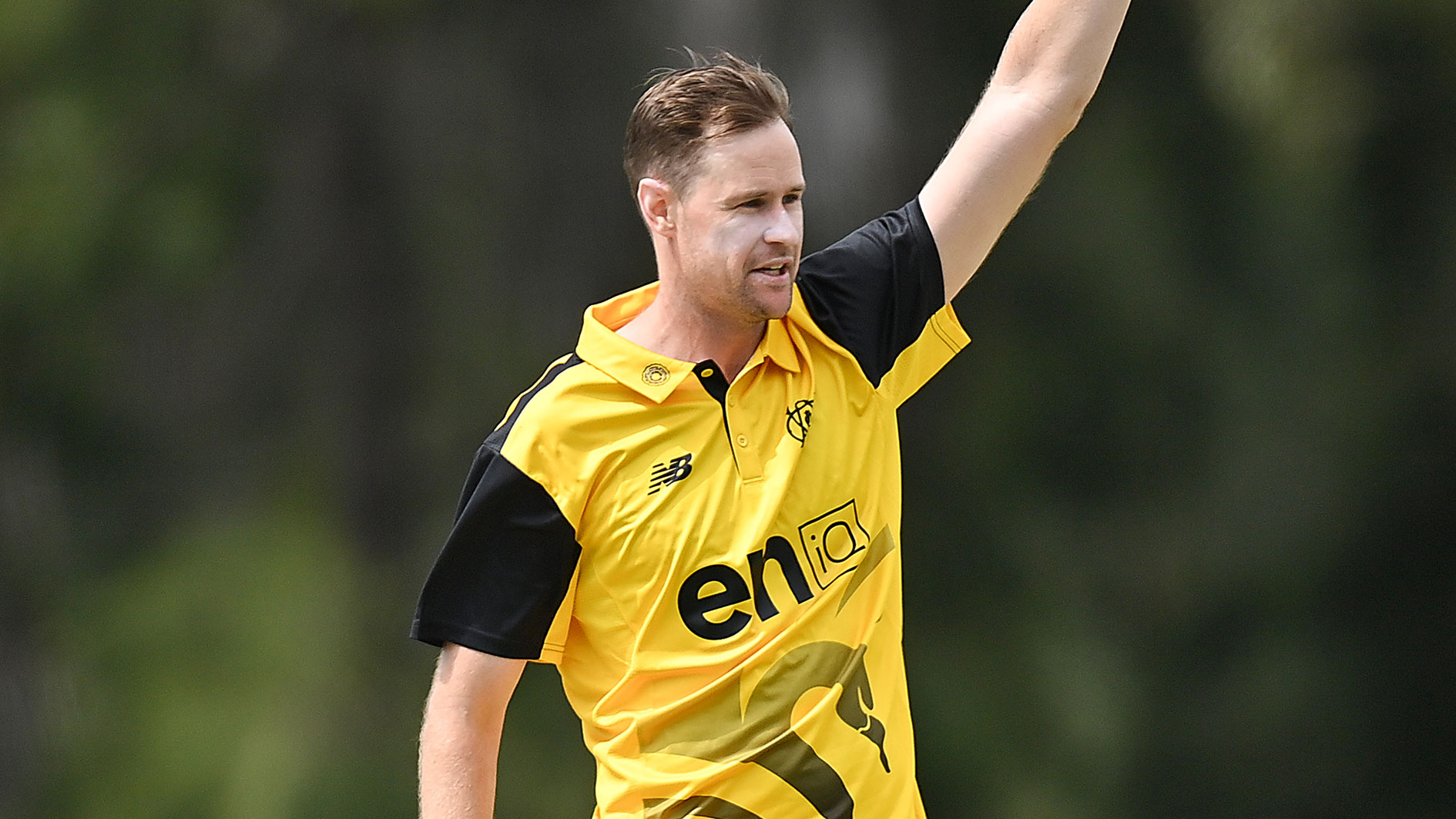 Behrendorff eyes 'next chapter' after state retirement call | cricket ...