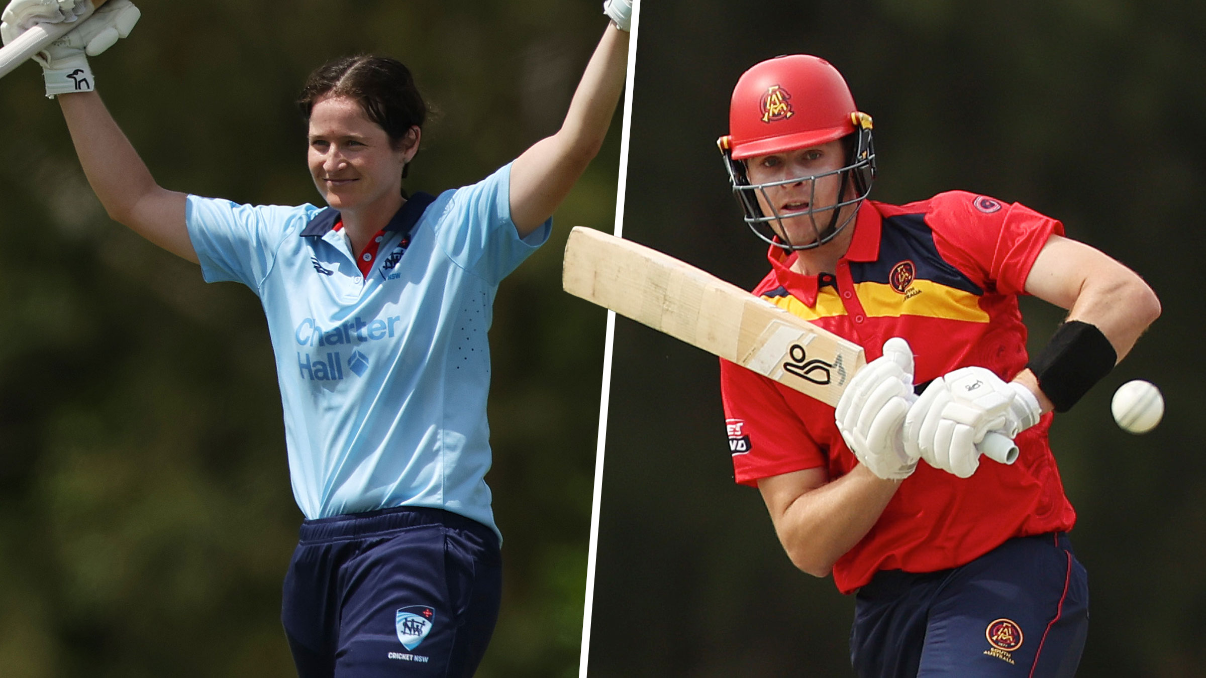 Wilson breaks record, young gun emerges in one-day gongs | cricket.com.au