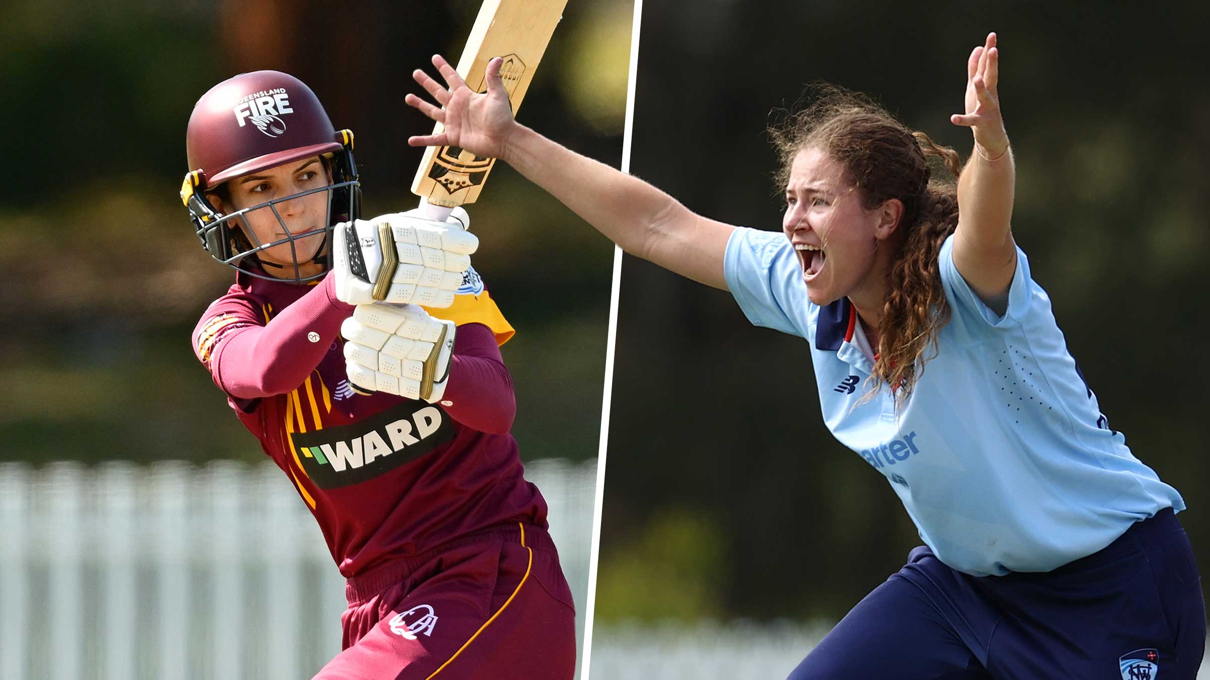 All you need to know for the WNCL final | cricket.com.au
