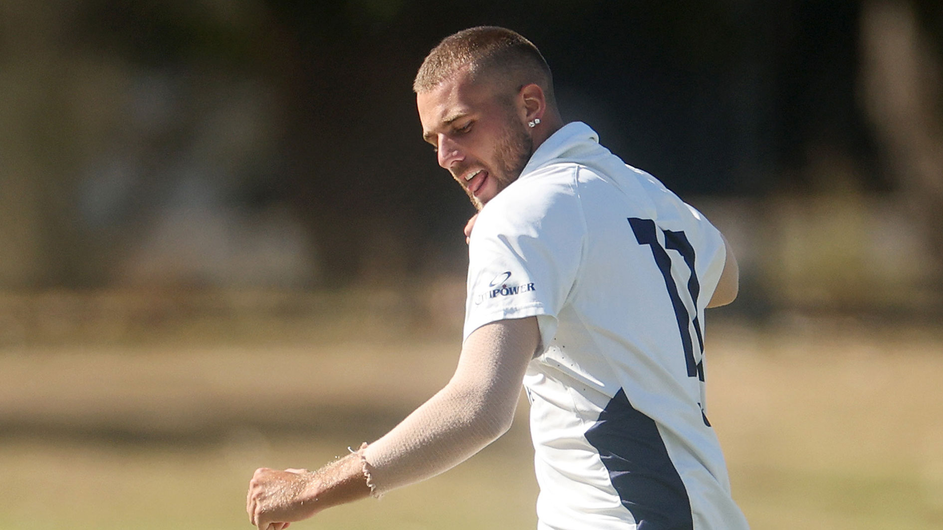 O'Neill crowned Shield's best, tipped for bigger opportunities ...