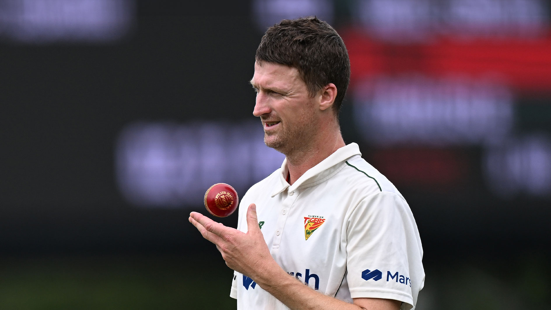 Tigers great Bird returns to Tassie amid signing blitz | cricket.com.au