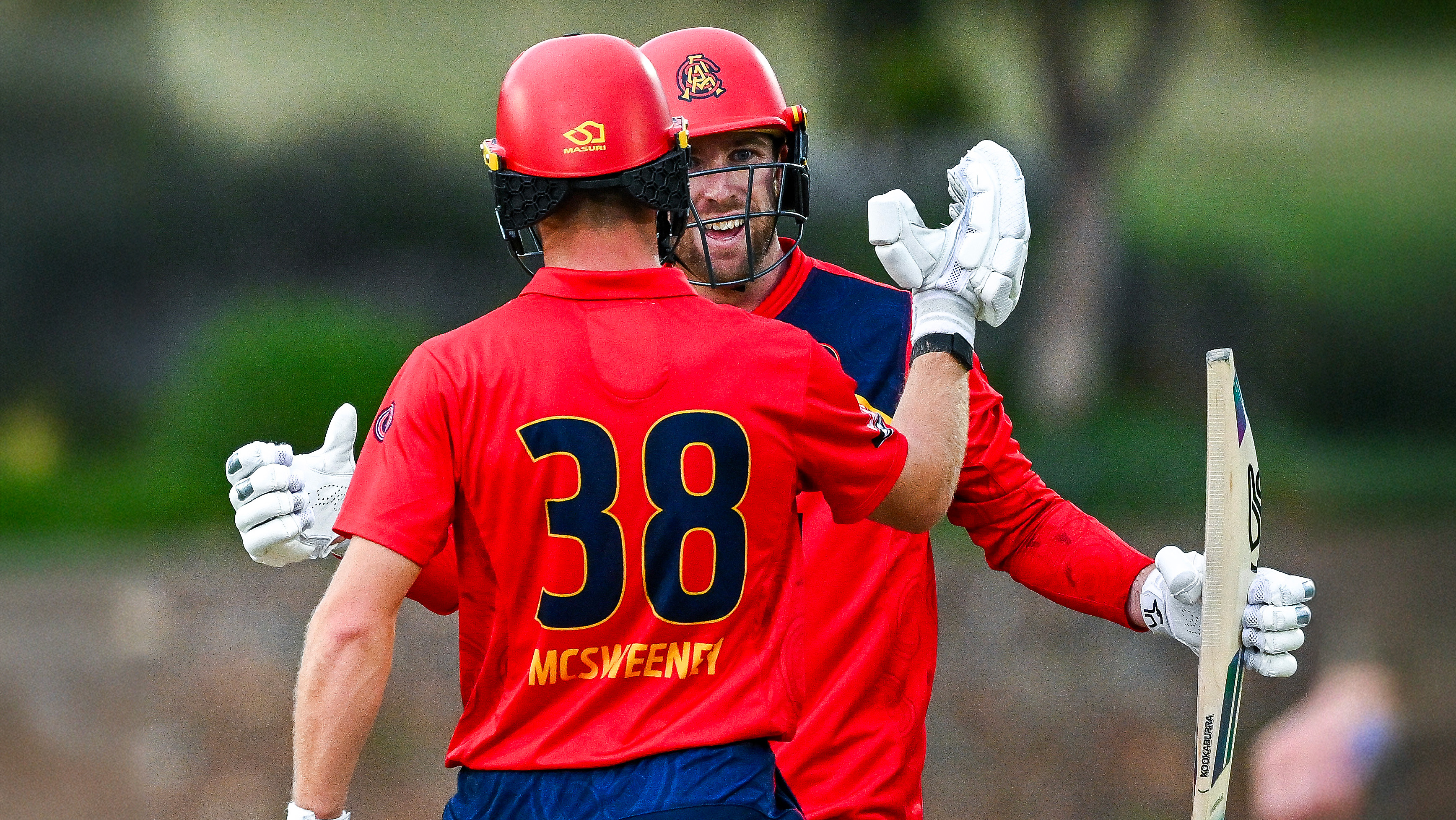 McSweeney stars in bonus-point taming of Bulls | cricket.com.au