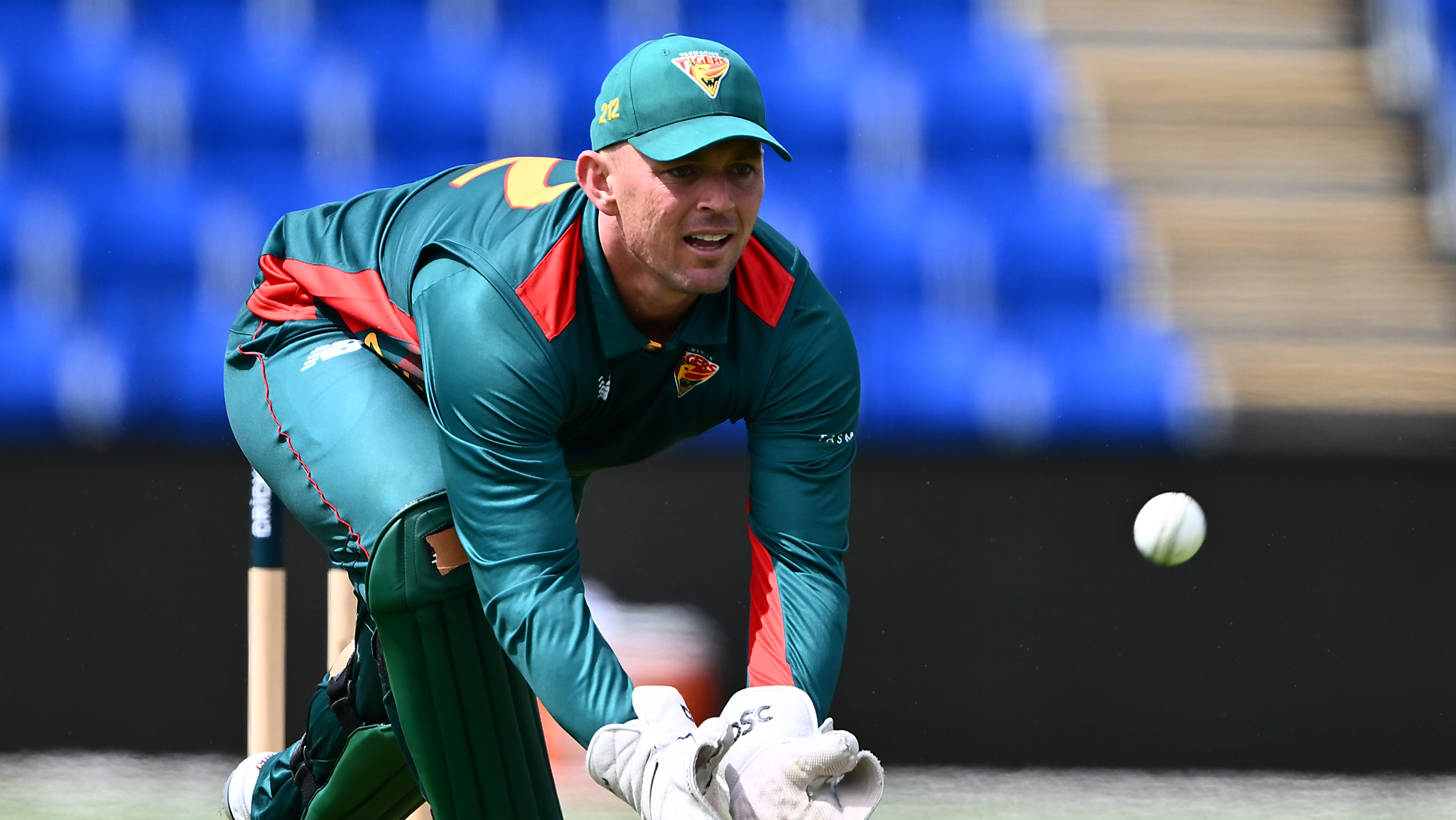 McDermott on standby after Short undergoes surgery | cricket.com.au