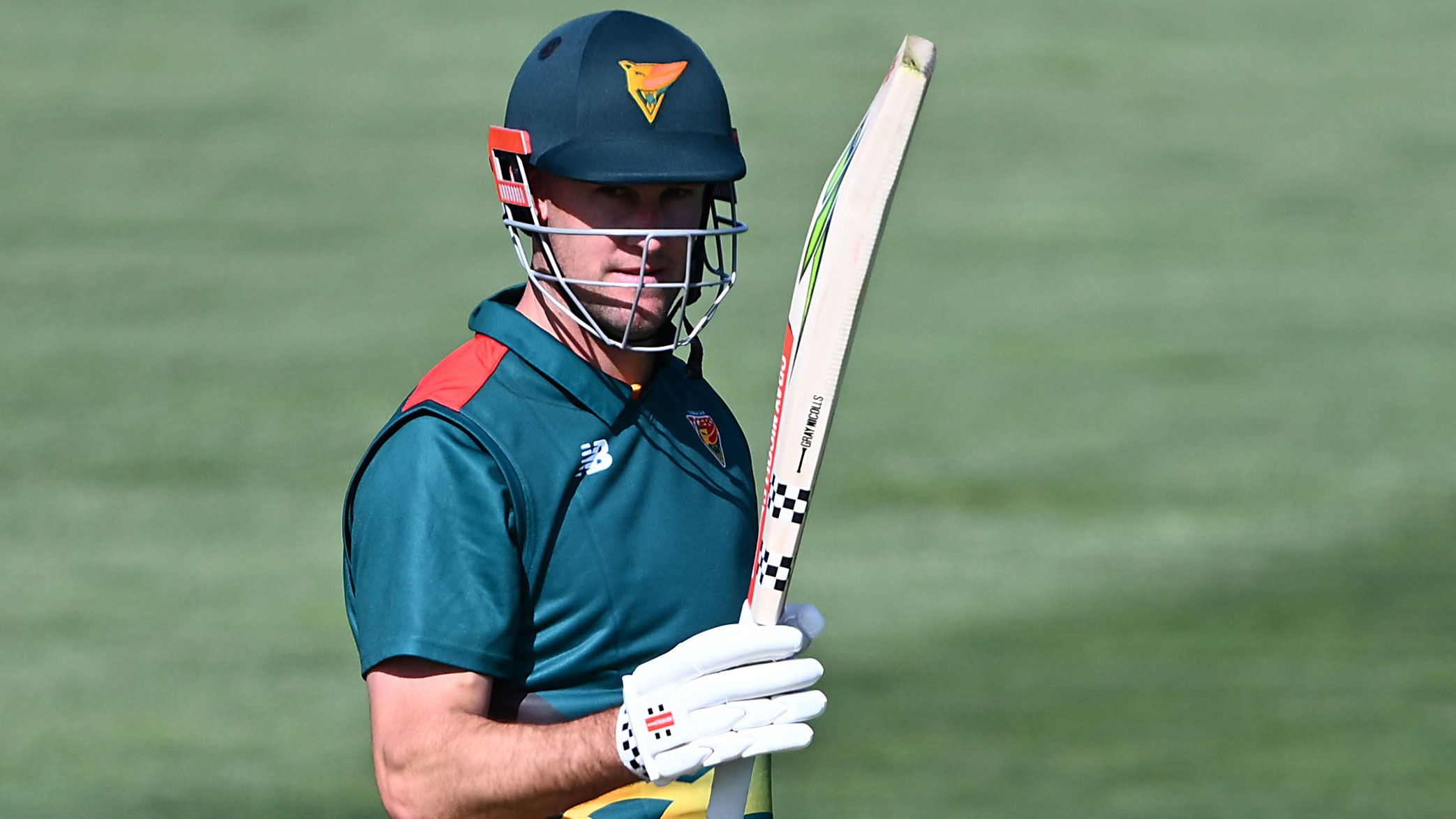 Webster among runs for unbeaten Tigers in One-Day Cup | cricket.com.au