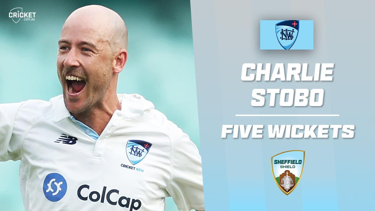 Charlie Stobo's career-best haul skittles Bulls