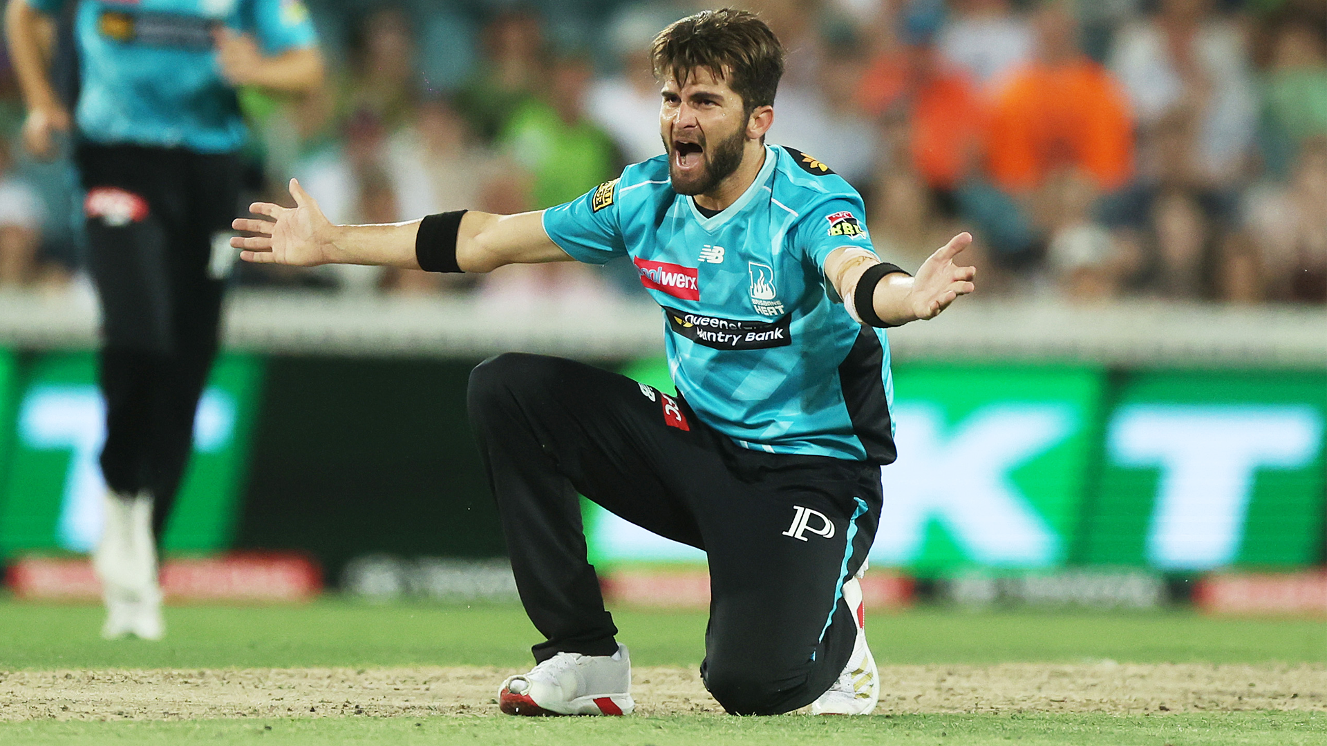 Heat suffer another blow as Shaheen ruled out of BBL|15 | cricket.com.au