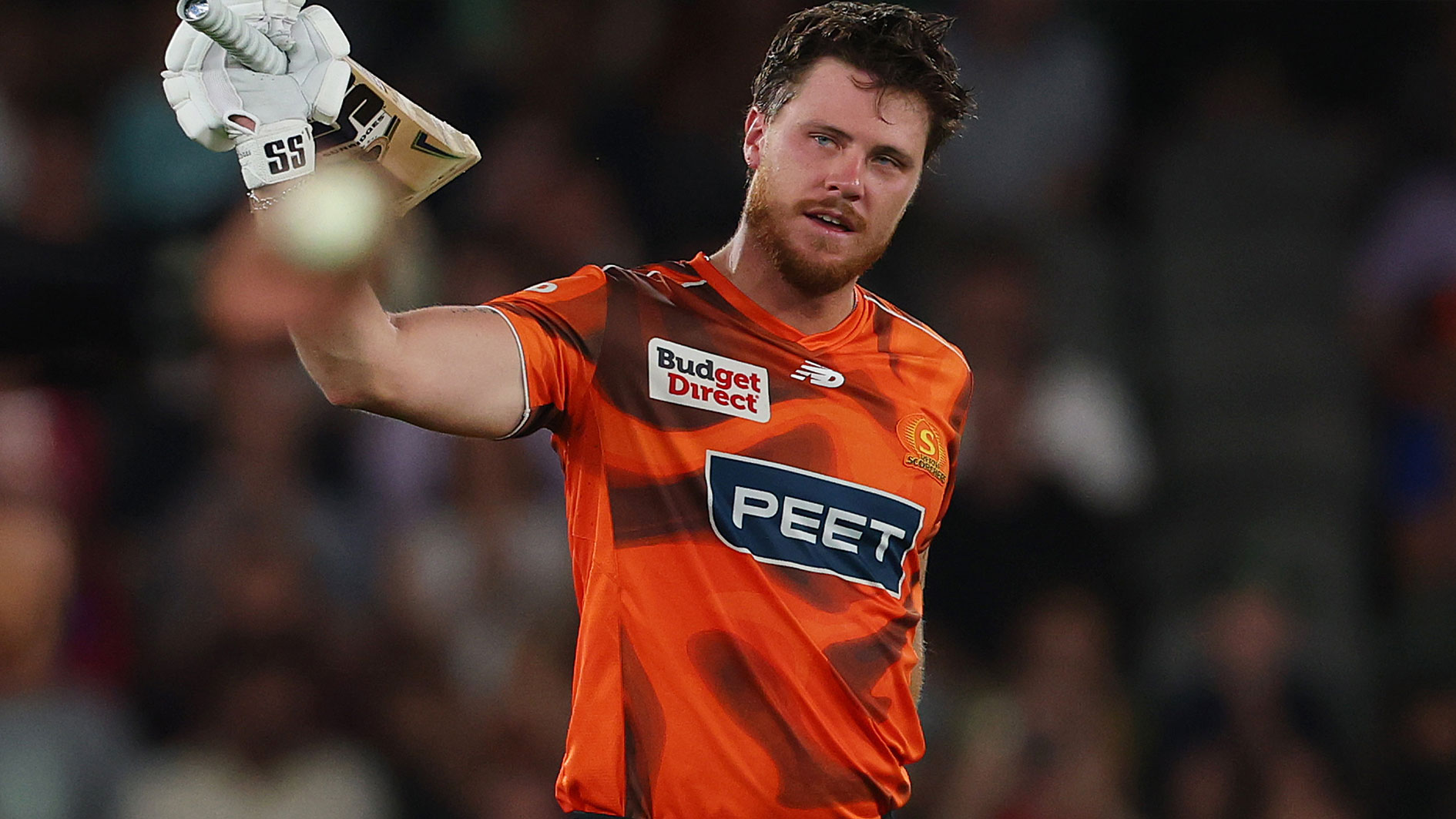 Scorchers' Allen blasts Renegades to secure finals spot | cricket.com.au