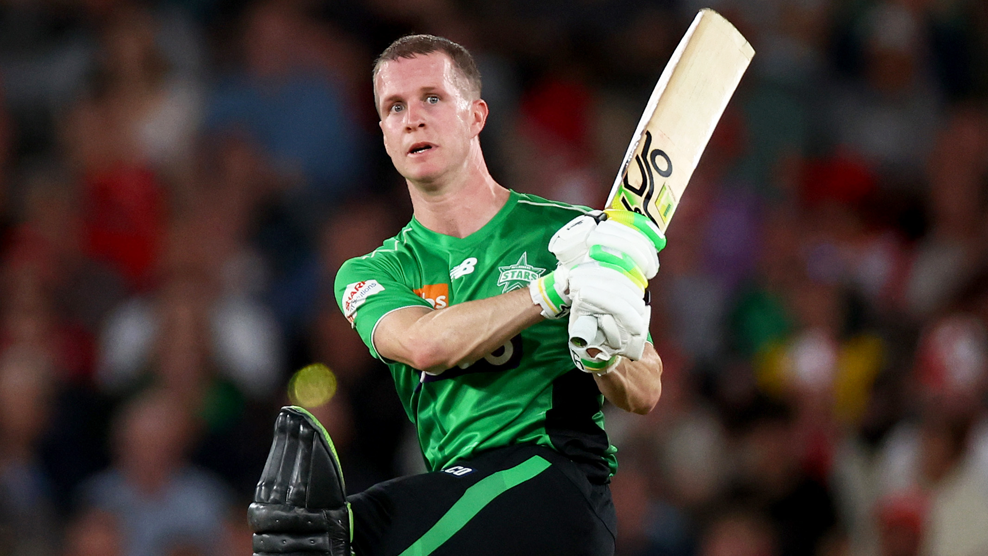 Player of the Tournament among three Stars re-signings | cricket.com.au