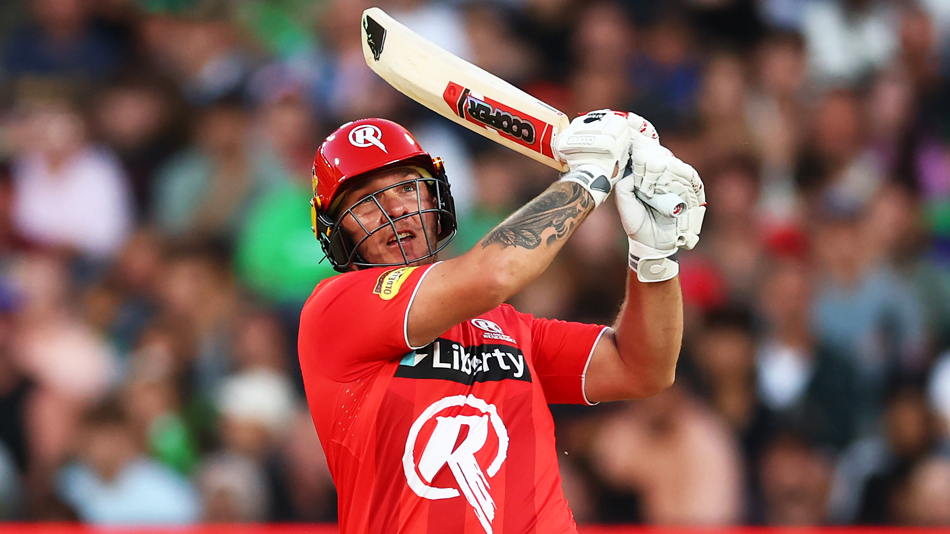 Renegades re-sign big-hitting opener | cricket.com.au