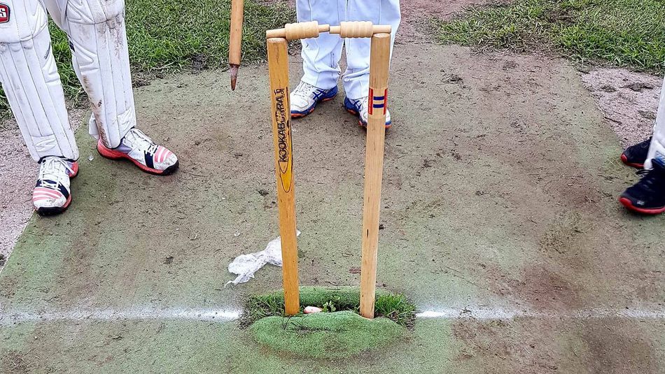 Cricket Bails