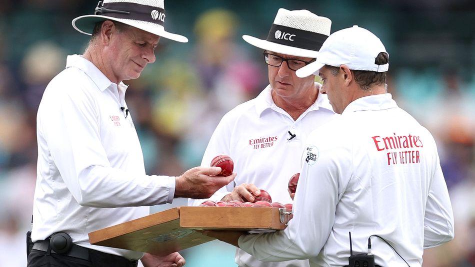 cricket umpire test